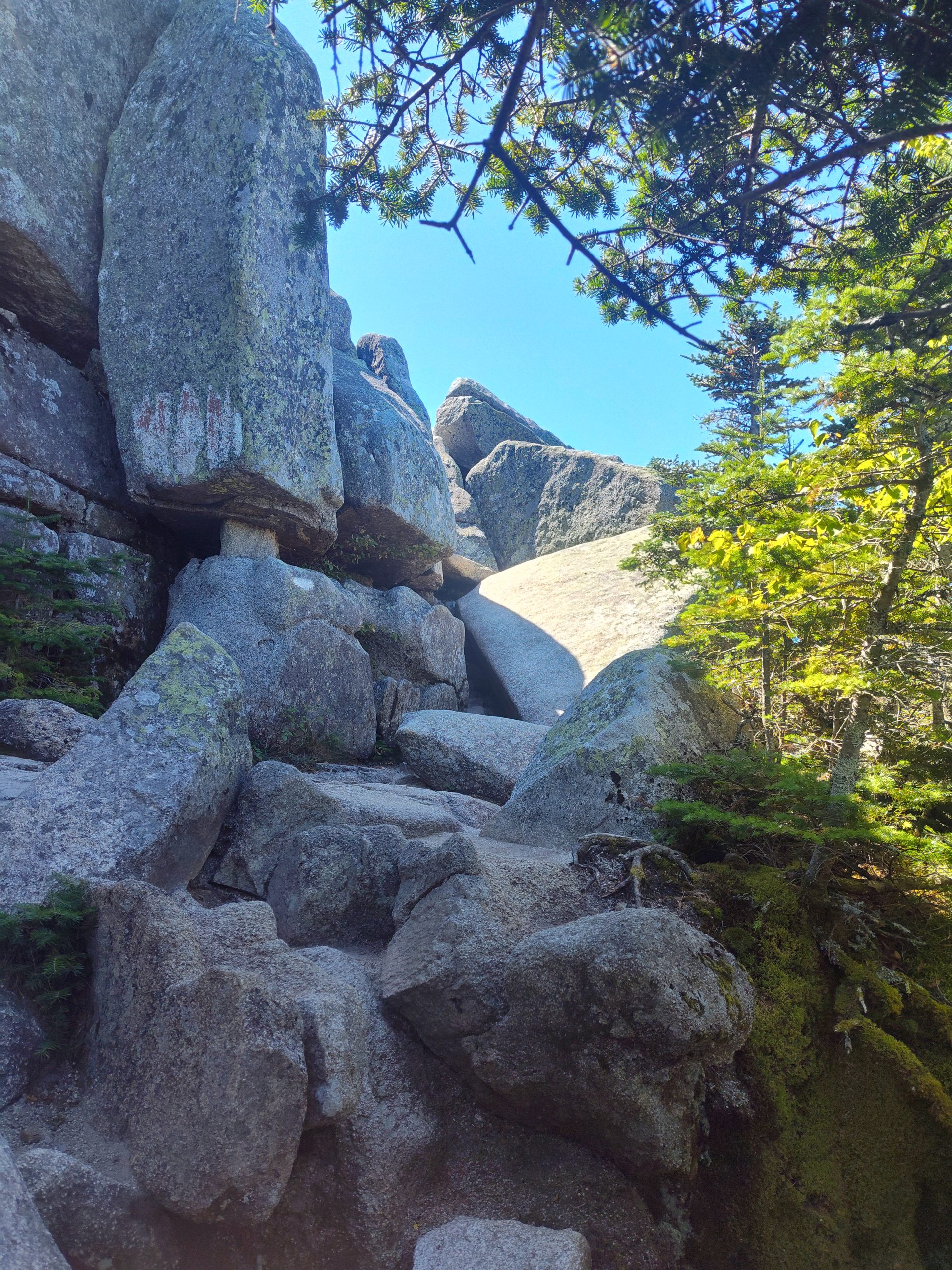 What a Long Strange Trip It’s Been (Part 2) - The Trek