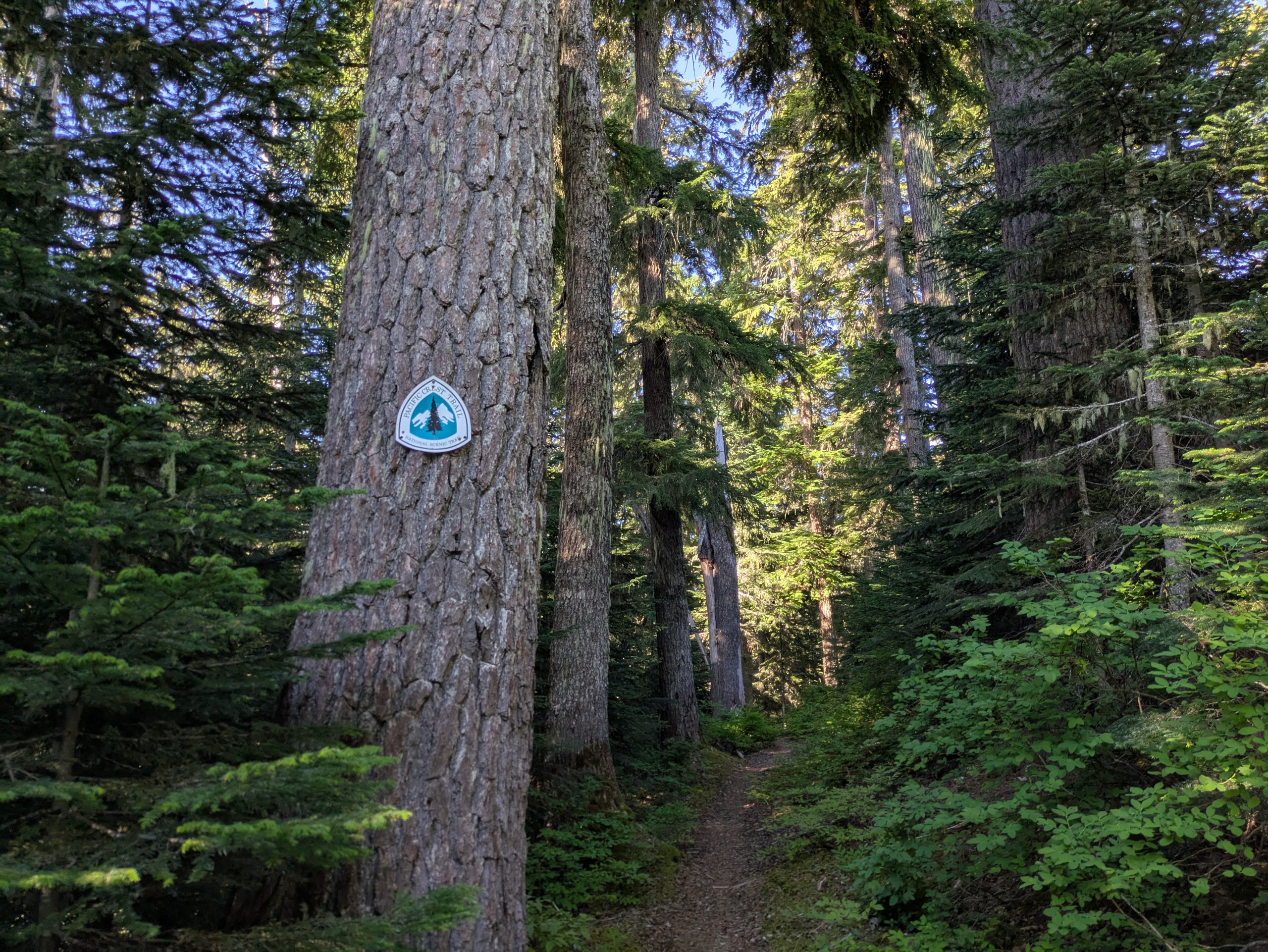 Officially through a trip: a Summary of Washington PCT | Archivo ...