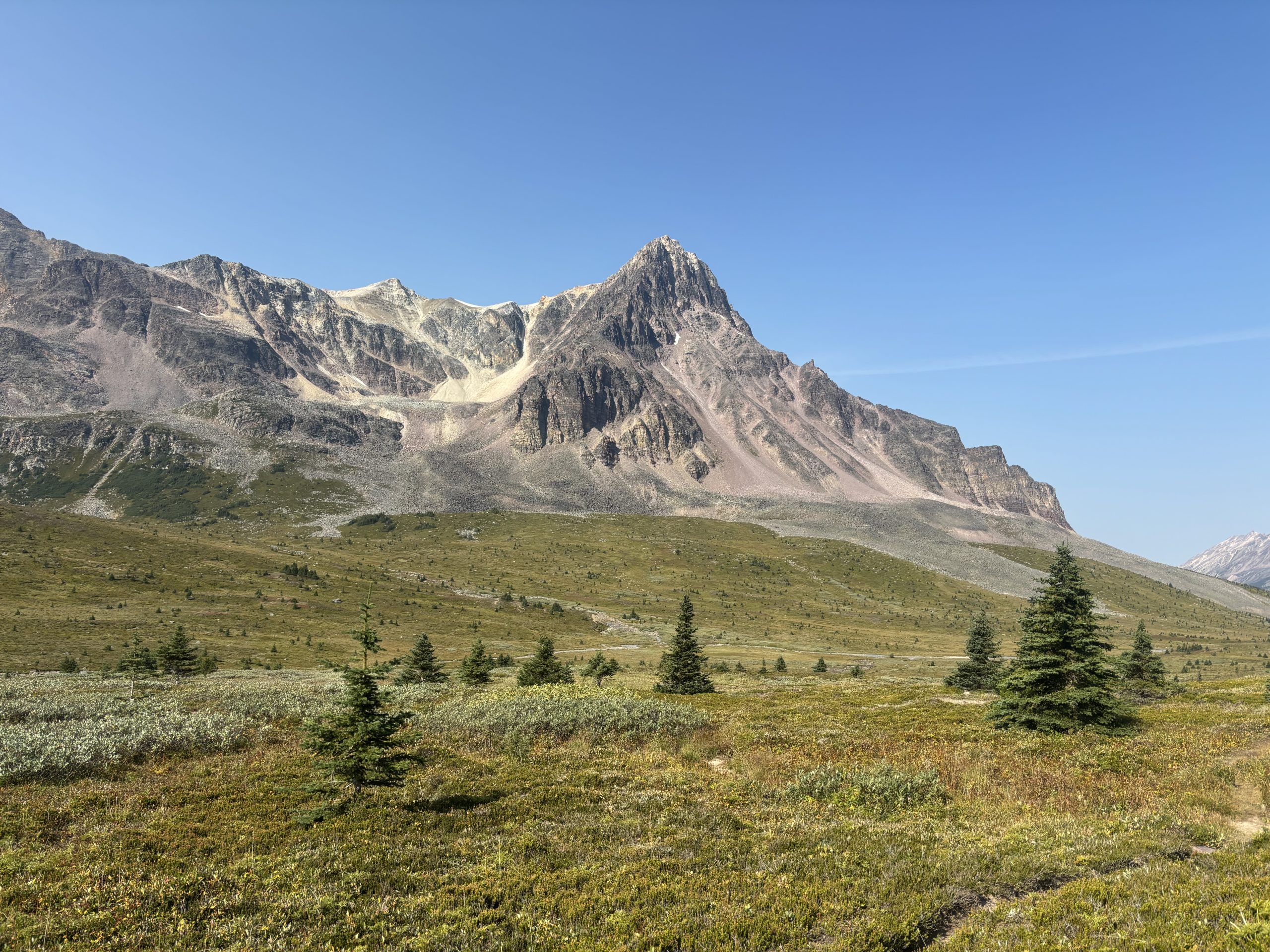 Saskatchewan Crossing to Jasper on the GDT - The Trek