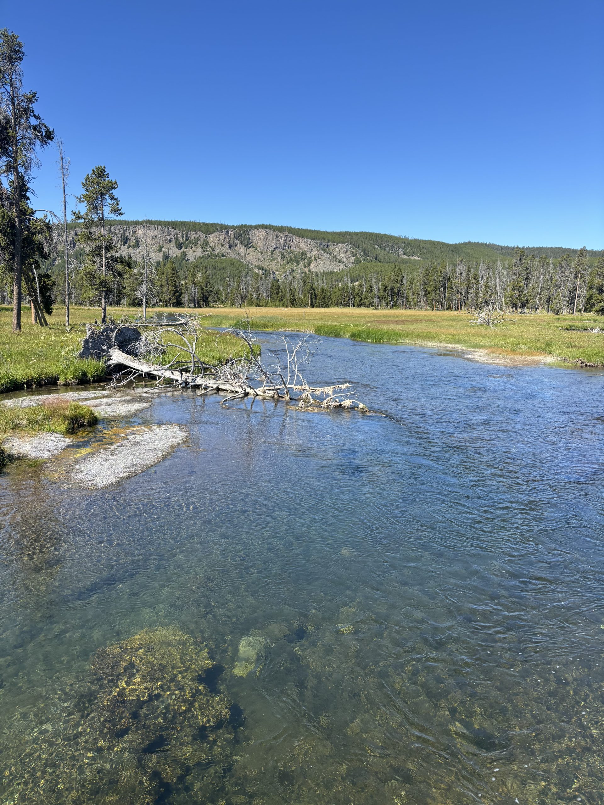 Yellowstone National Park - The Trek