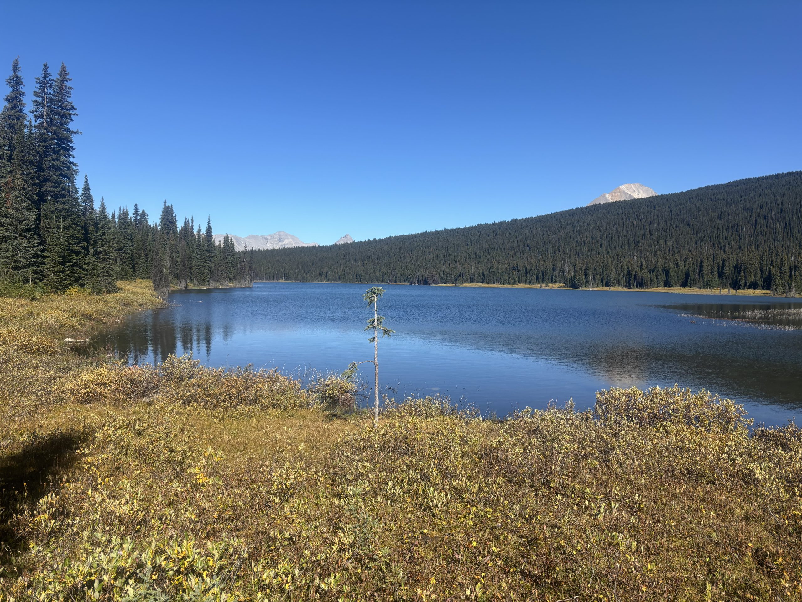 Blueberry Lake to Kakwa Lake on the GDT - The Trek