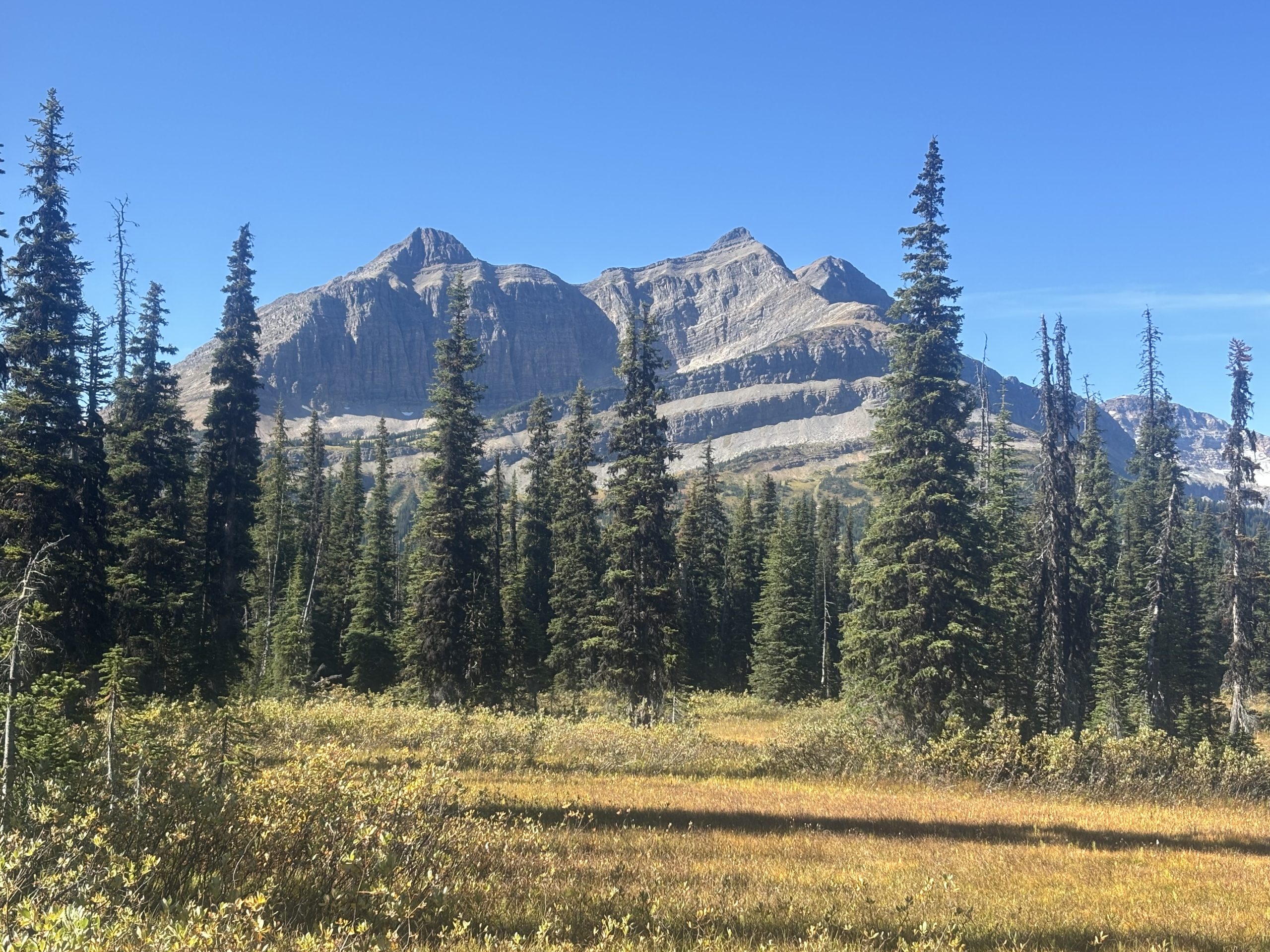 Blueberry Lake to Kakwa Lake on the GDT - The Trek