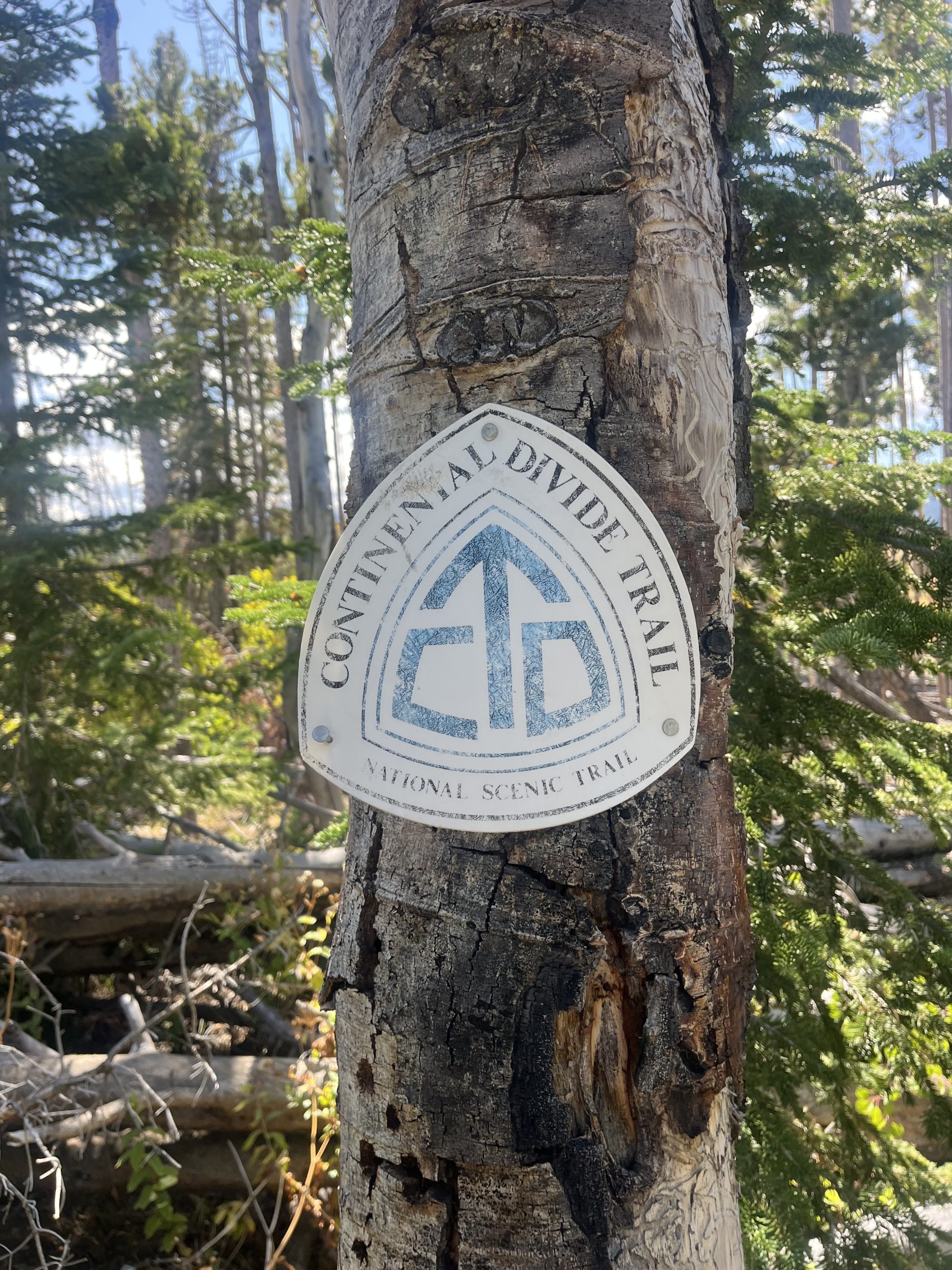 The Ultimate Road Side Resupply to End Wyoming - The Trek