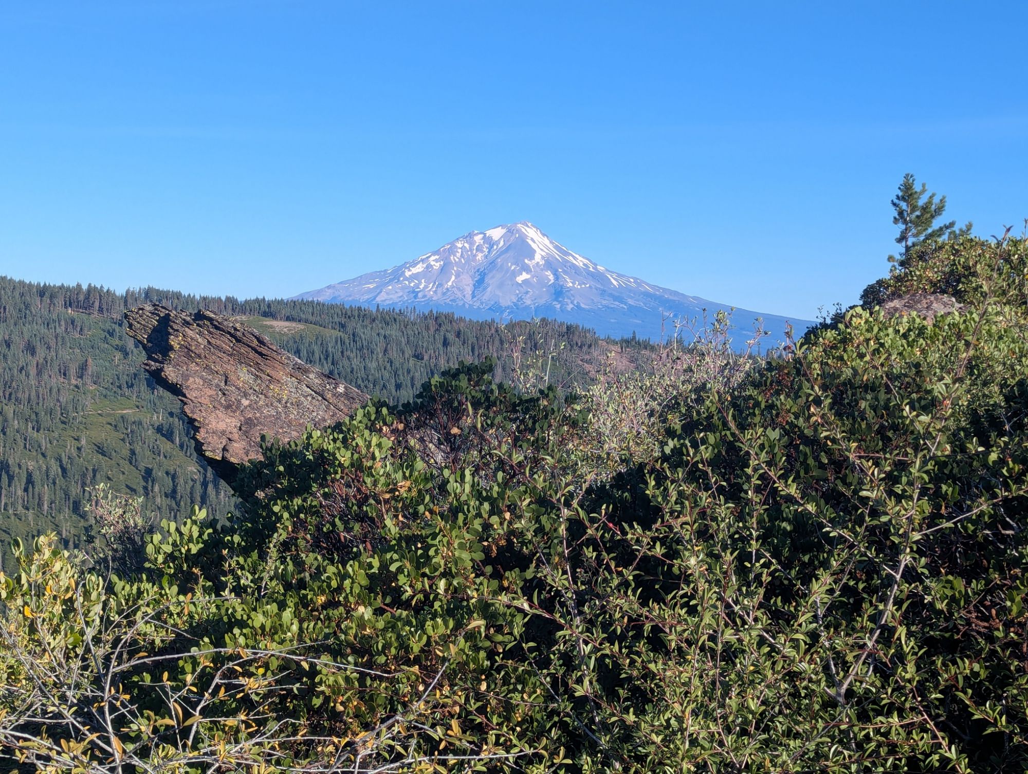 Day 107 Near Shasta - The Trek