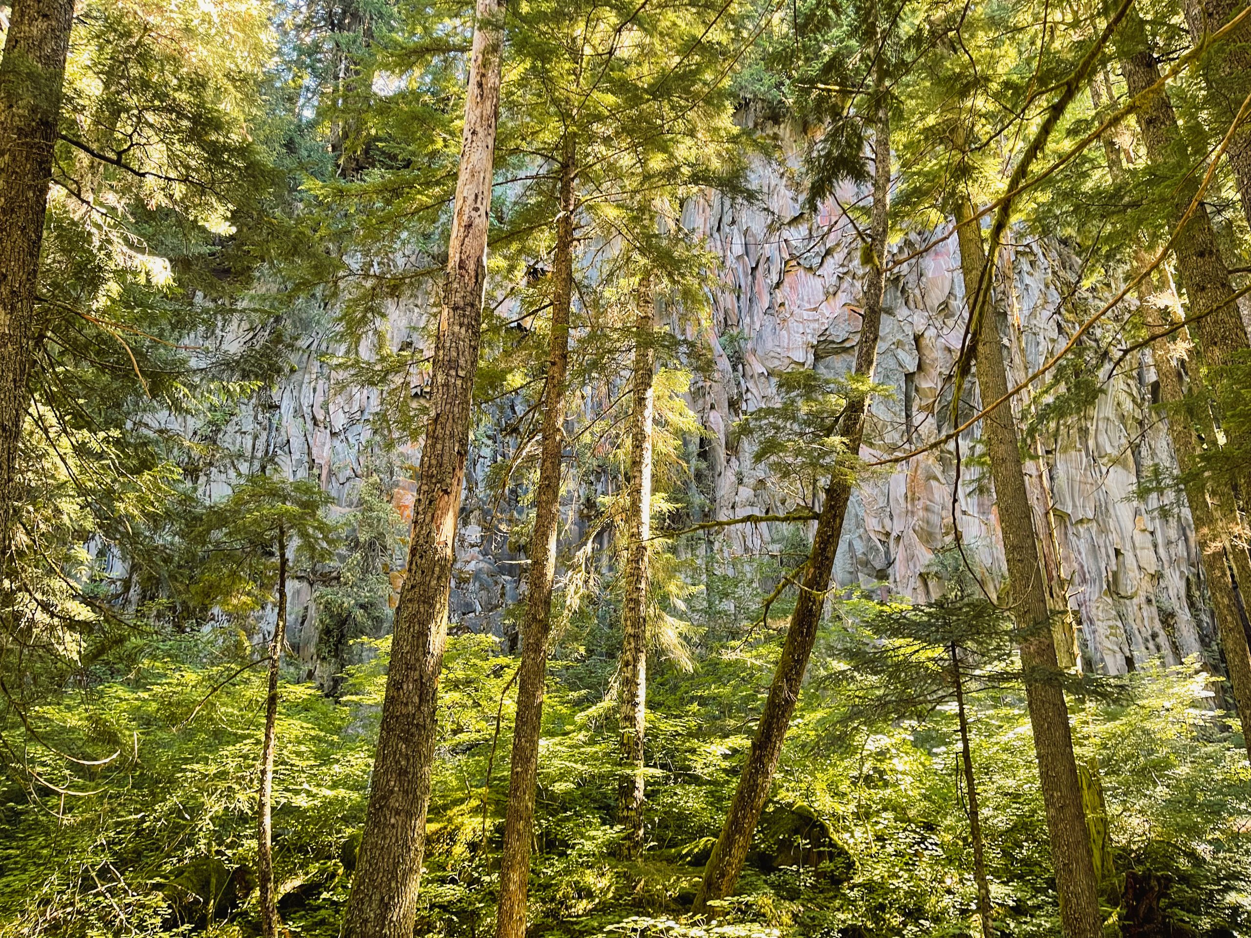 Timberline Trail: The Longest, Bonkiest Day 2 - The Trek