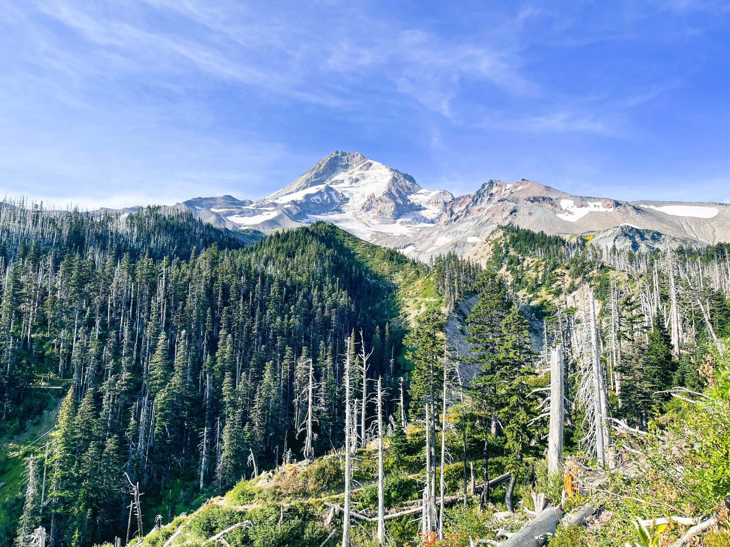 Timberline Trail: A Day 3 Above Timberline - The Trek