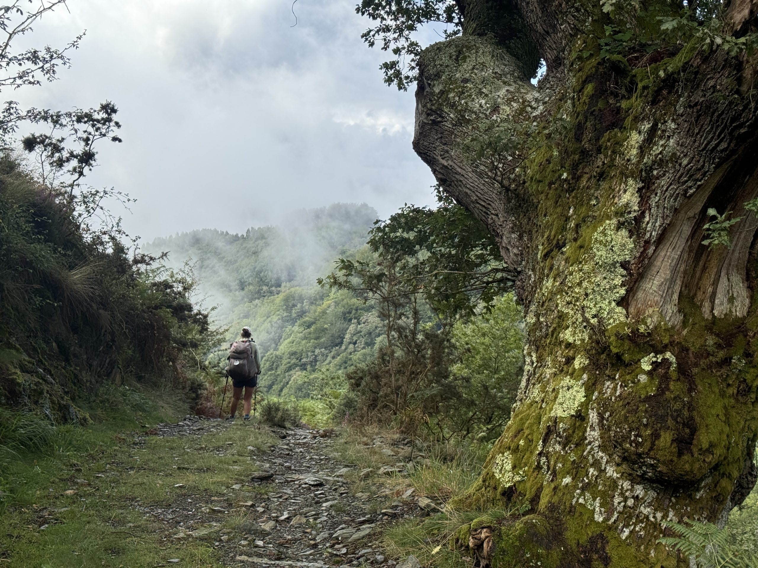 HRP 1: Beginning the Traverse of the Pyrenees at the Atlantic – Hendaye ...