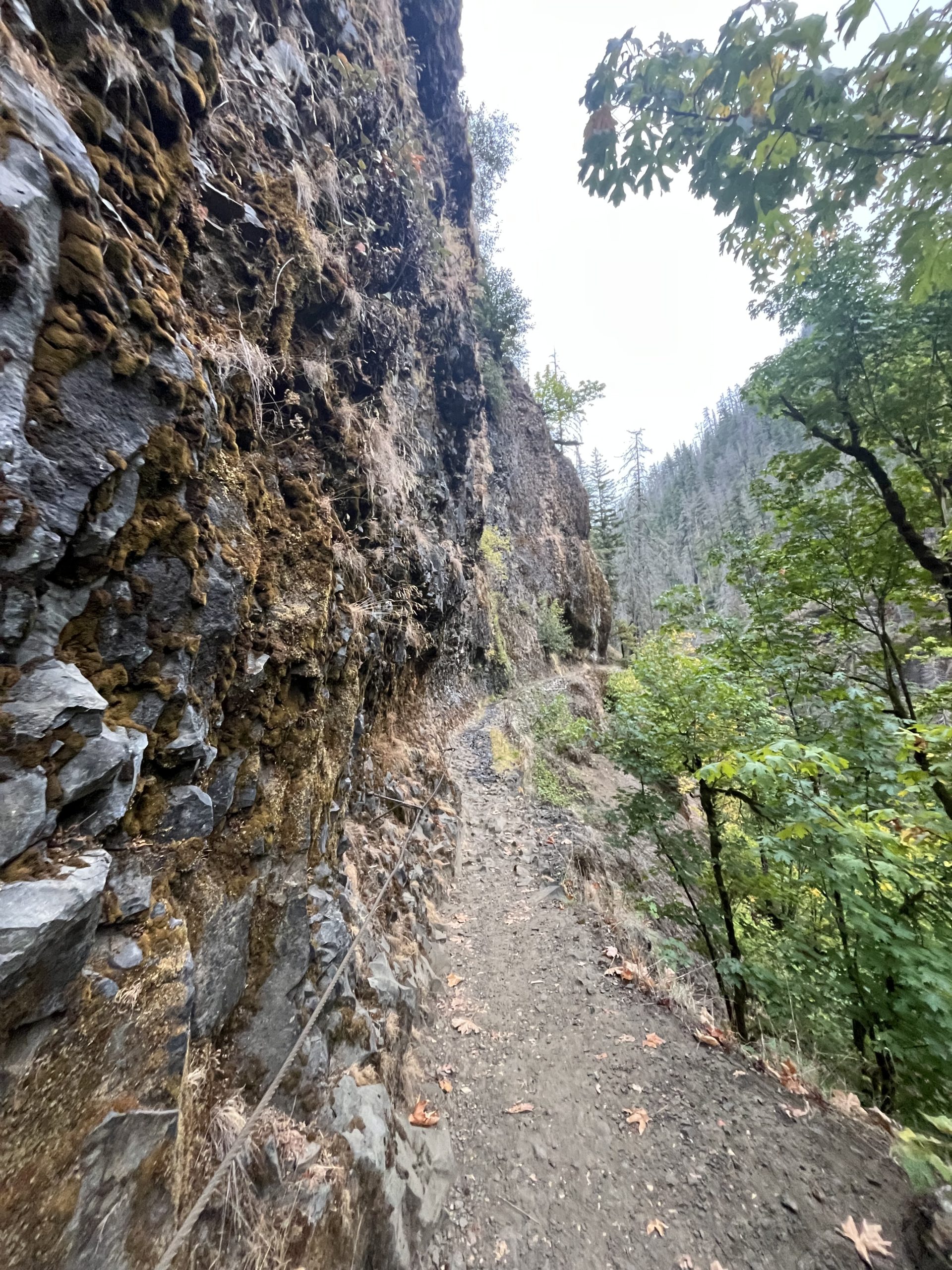 A 45 Mile Day with 11,400 Feet of Climbing - The Trek