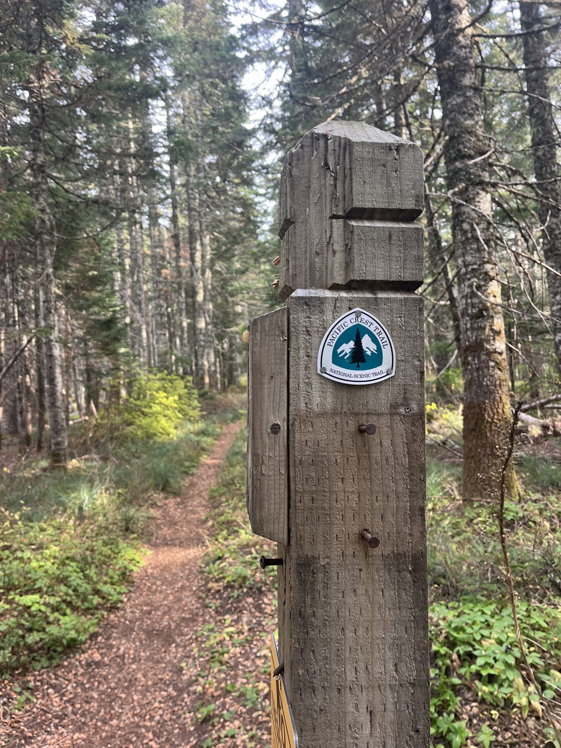 A 45 Mile Day with 11,400 Feet of Climbing - The Trek