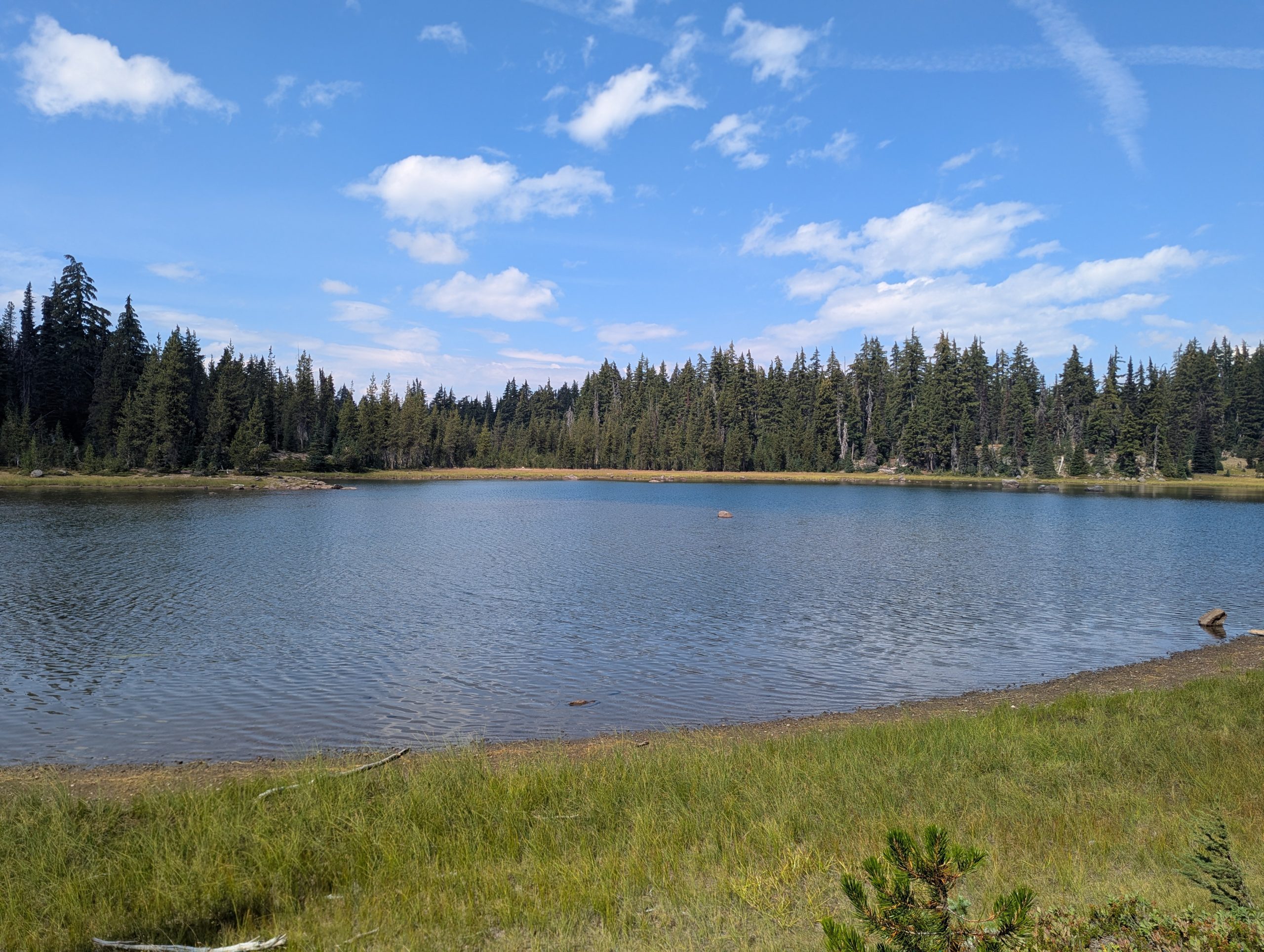 Day 135 Foot Pain & Hinton Creek - The Trek
