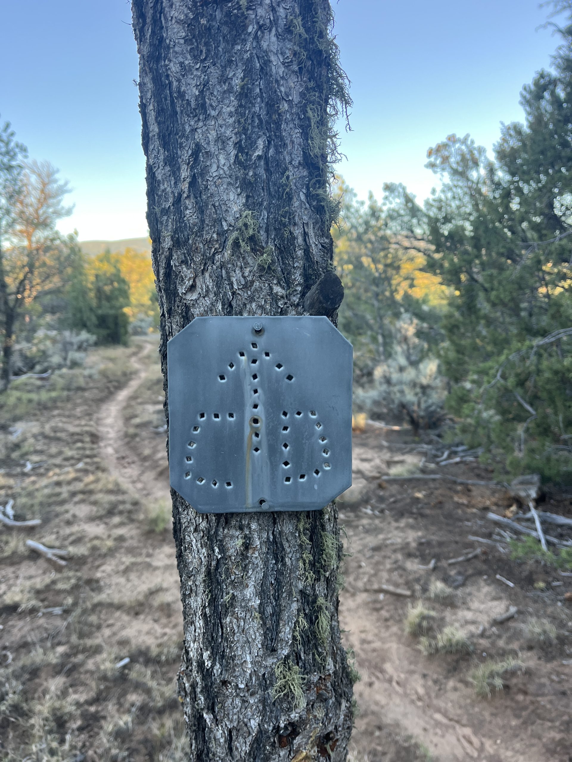 Already Back in the CDT Hiker Bubble - The Trek