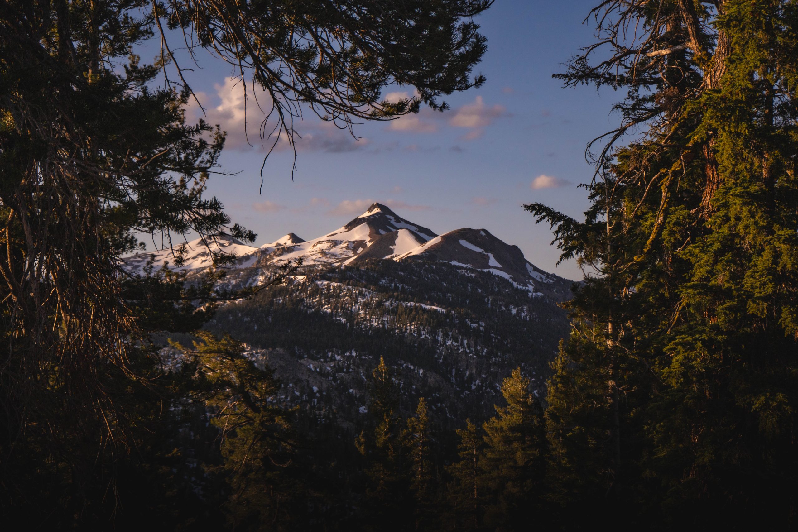 Photo Recap: NorCal - The Trek
