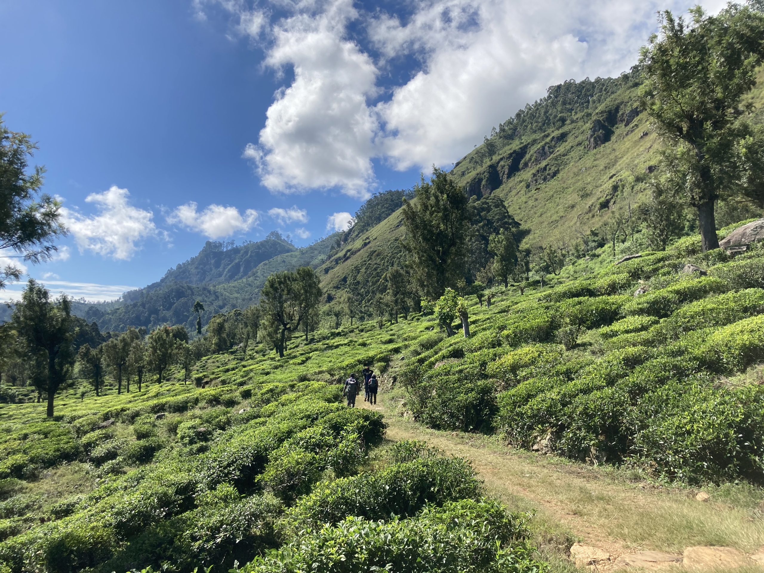 10 Short Trails You Can Thru-Hike in Winter - The Trek