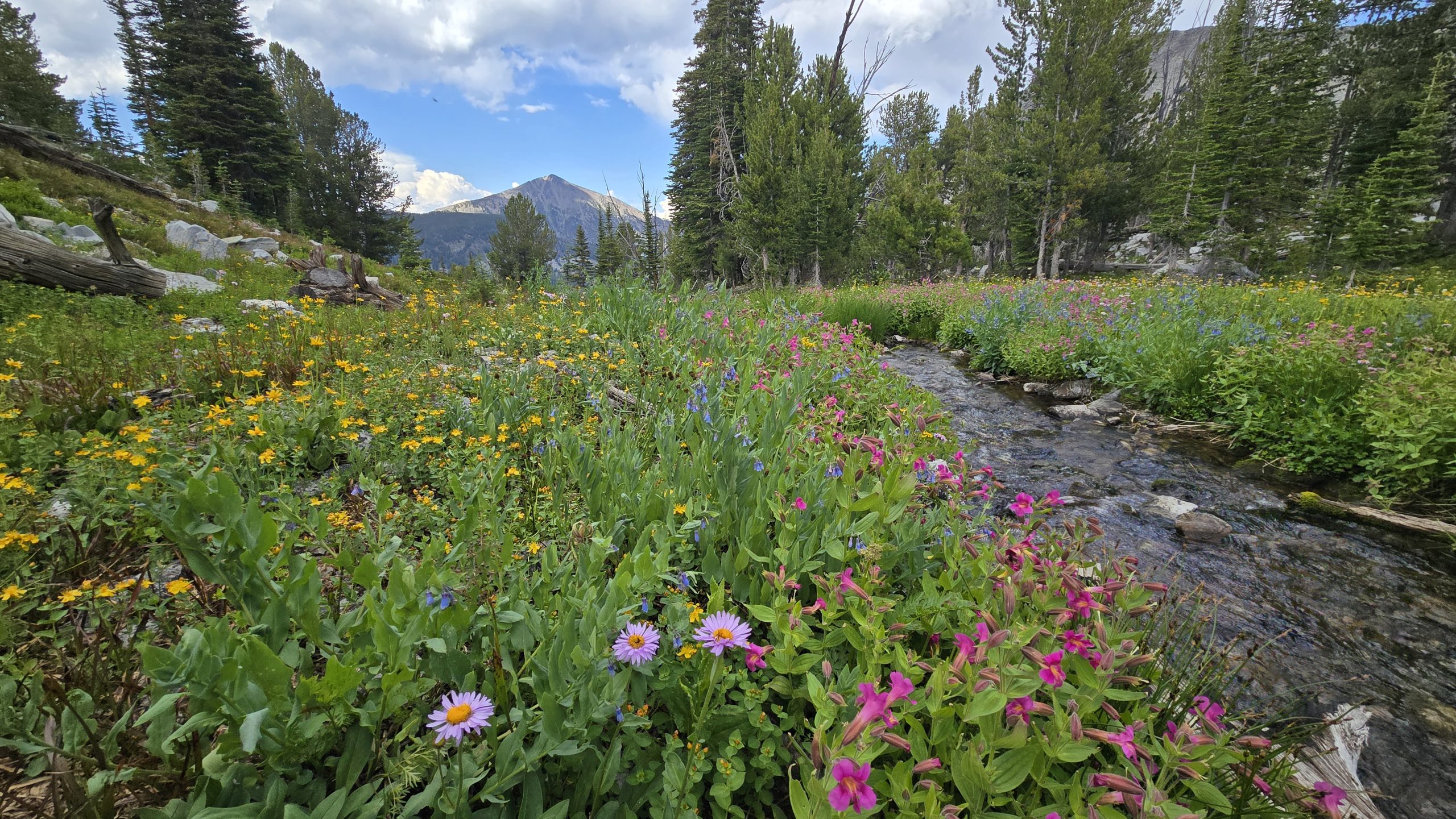 CDT Montana Pintlers: I Hate Hitchhiking & Love Thunder Sunsets - The Trek