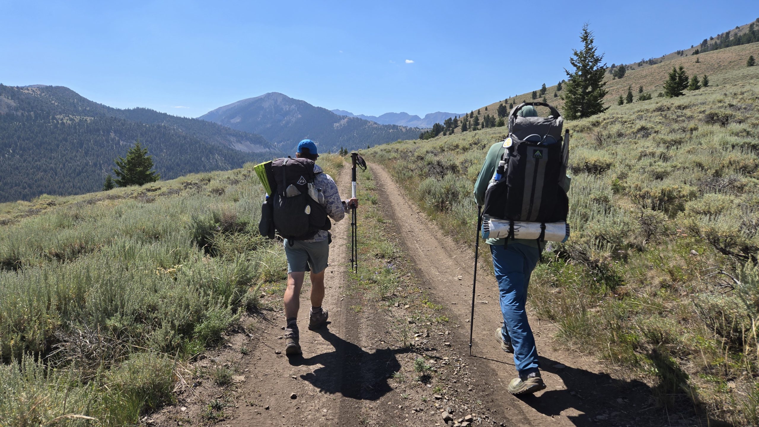 Embracing the Borderline Brutality on the CDT - The Trek