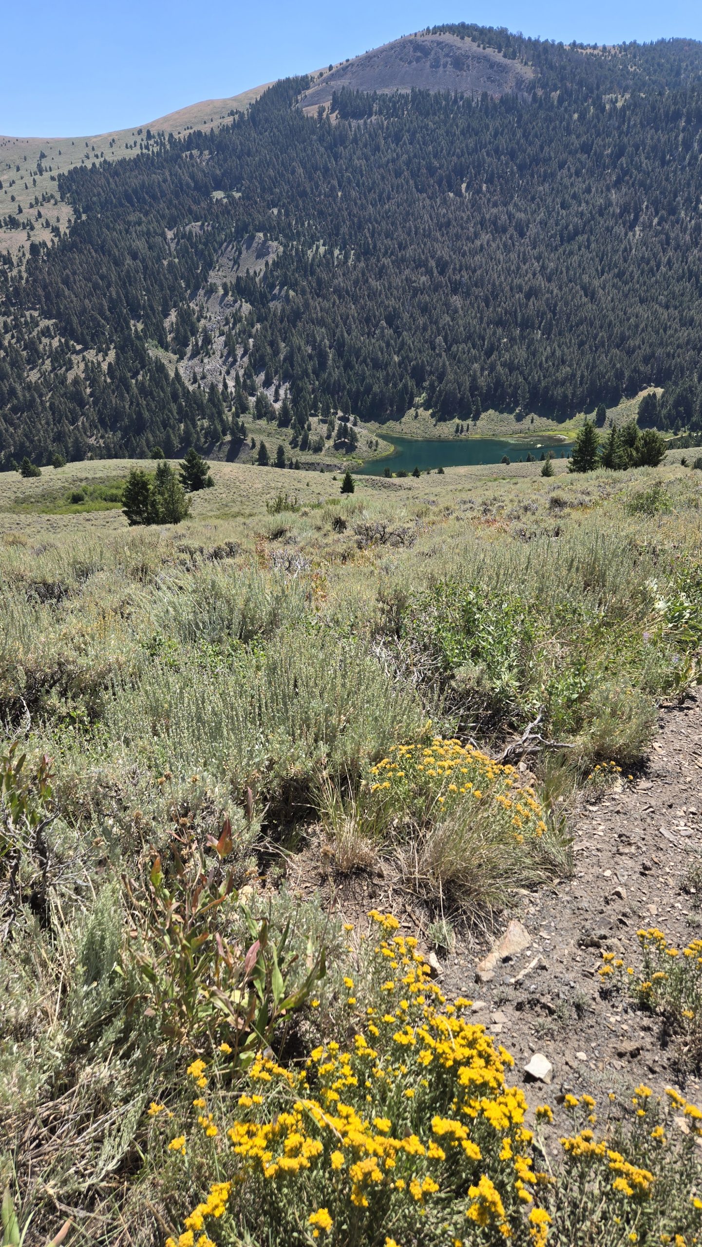 Embracing the Borderline Brutality on the CDT - The Trek