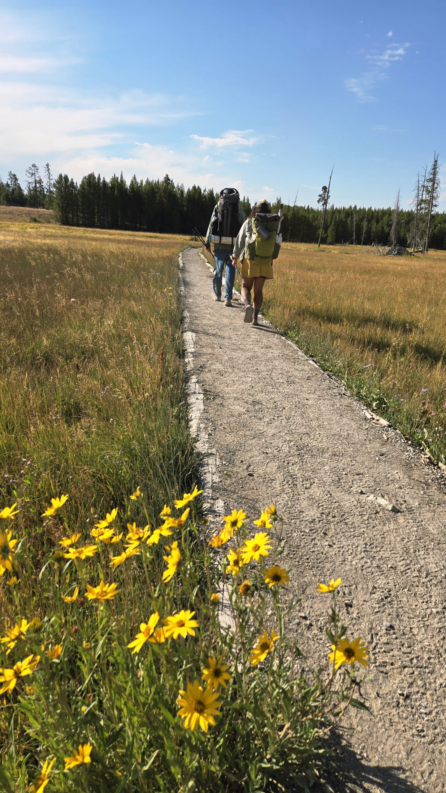 A Walk in the Other Park: Yellowstone on the CDT (Part 1 of 2) - The Trek