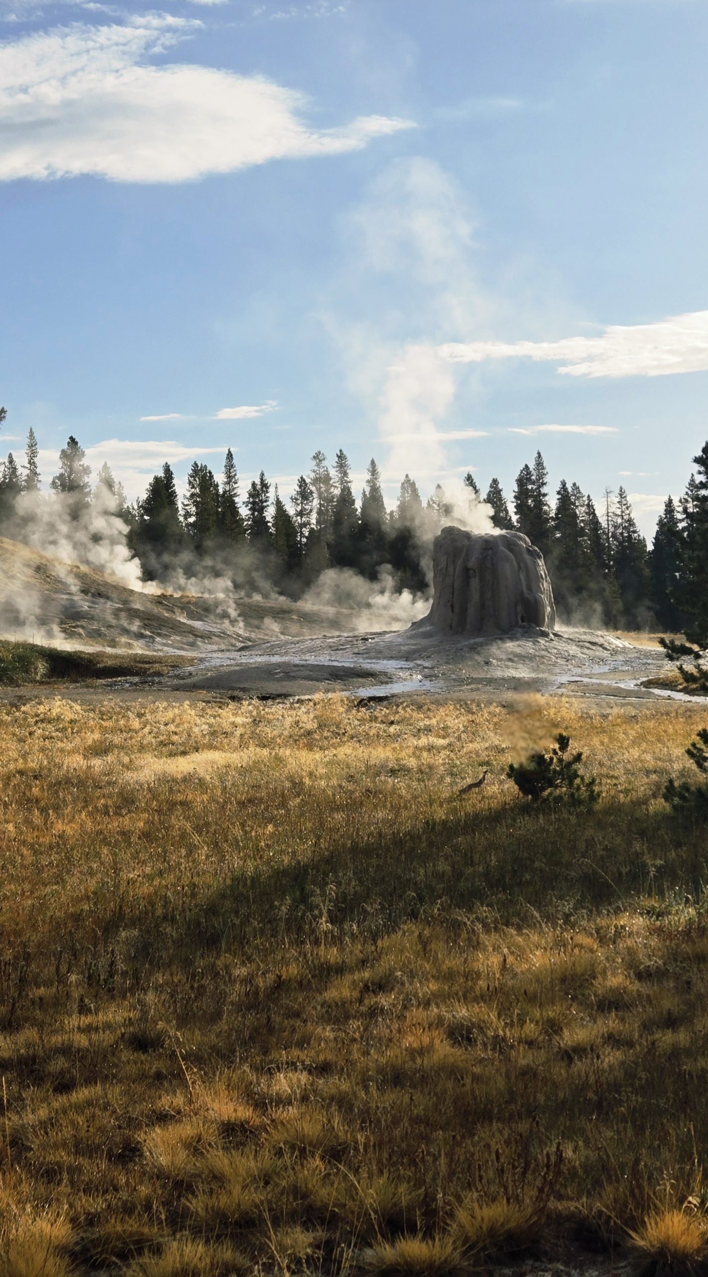 A Walk in the Other Park: Yellowstone on the CDT (Part 2 of 2) - The Trek