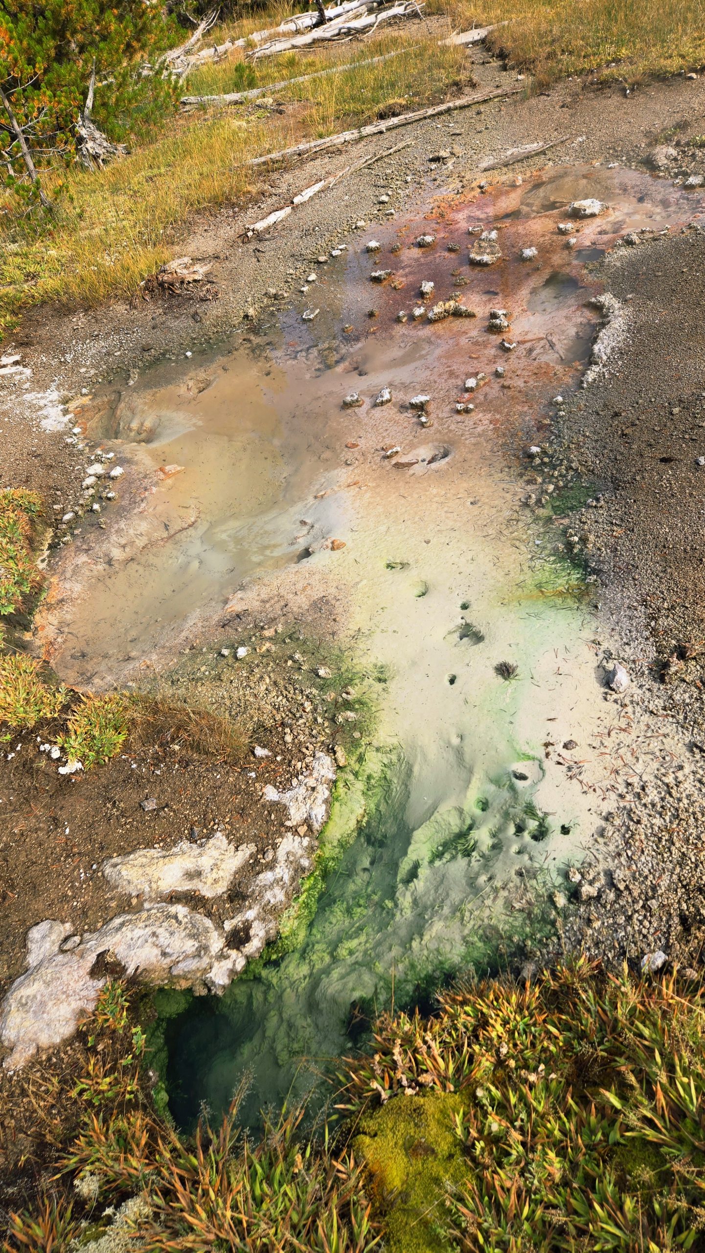 A Walk in the Other Park: Yellowstone on the CDT (Part 2 of 2) - The Trek