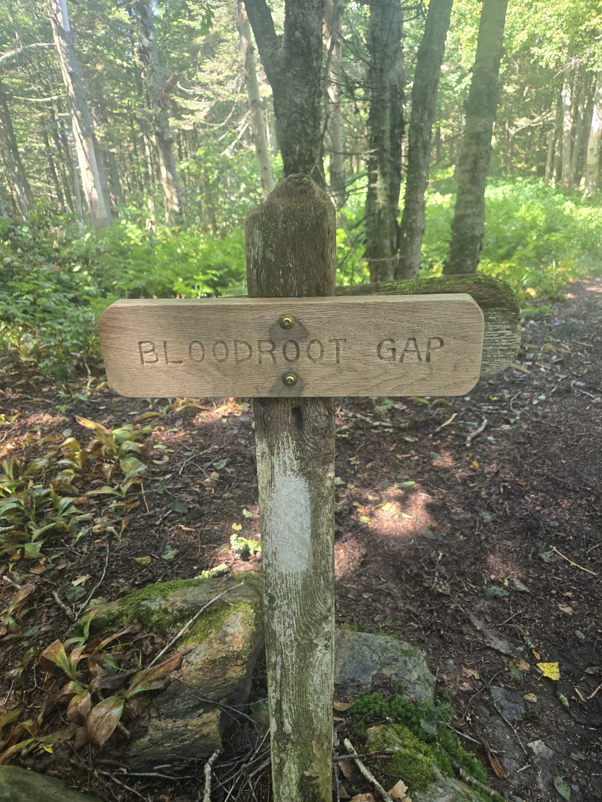 Great Day with a Devastating End - Long Trail Day Ten - The Trek