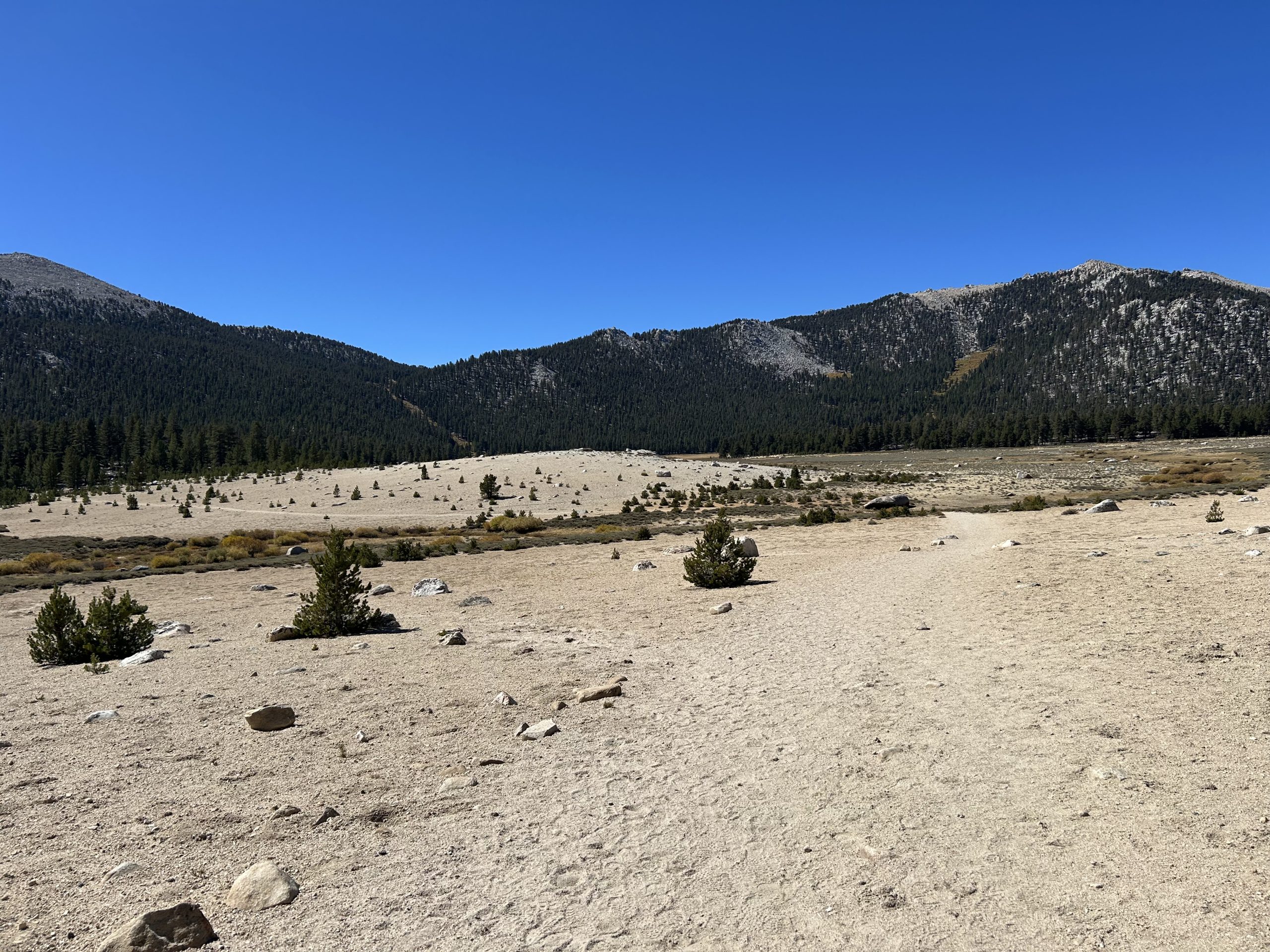 PCT SOBO DAY 103 - An Easy Hitch - The Trek