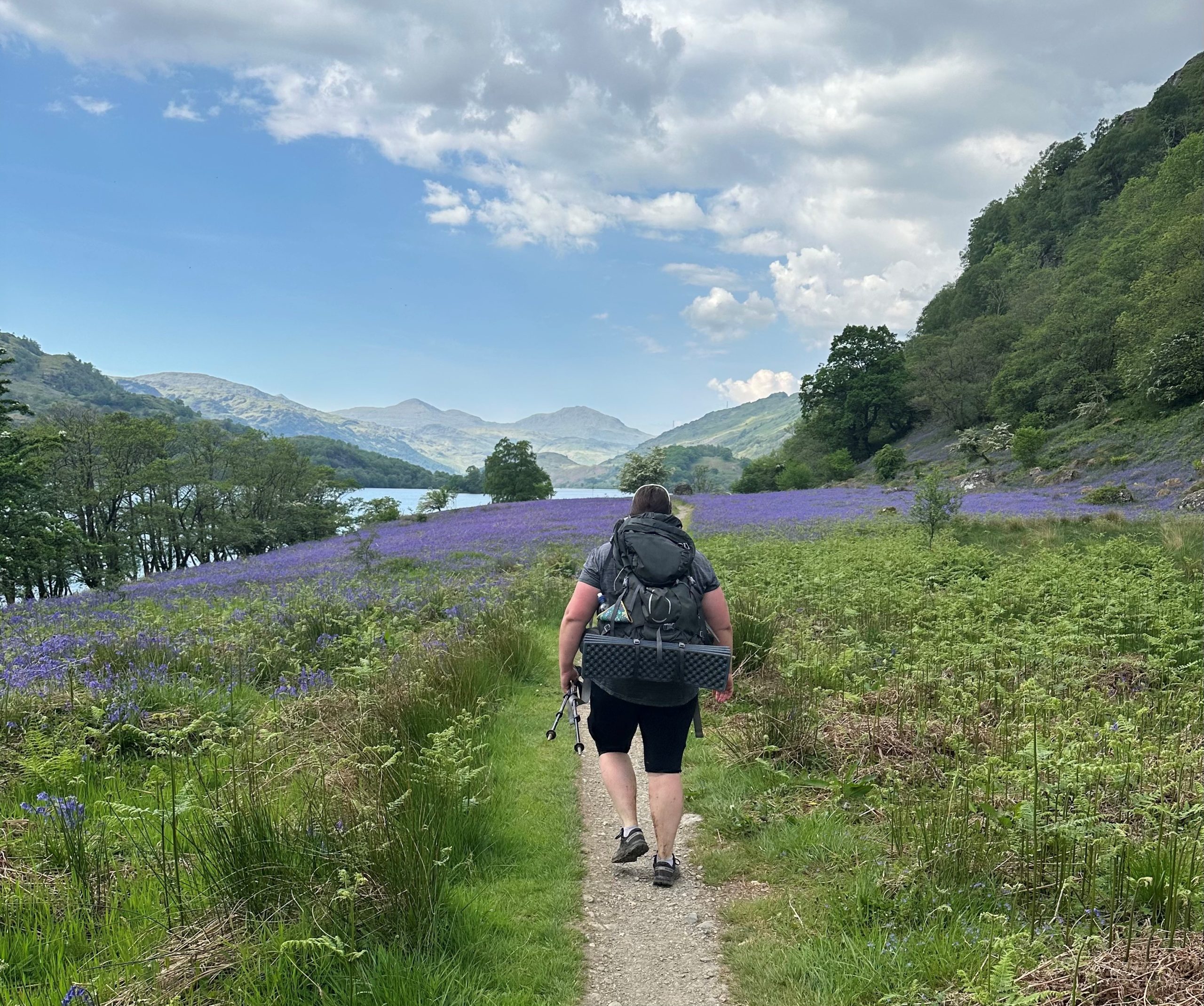 “So, When Are You Going?”: How a Simple Question Set Me on the Path to ...