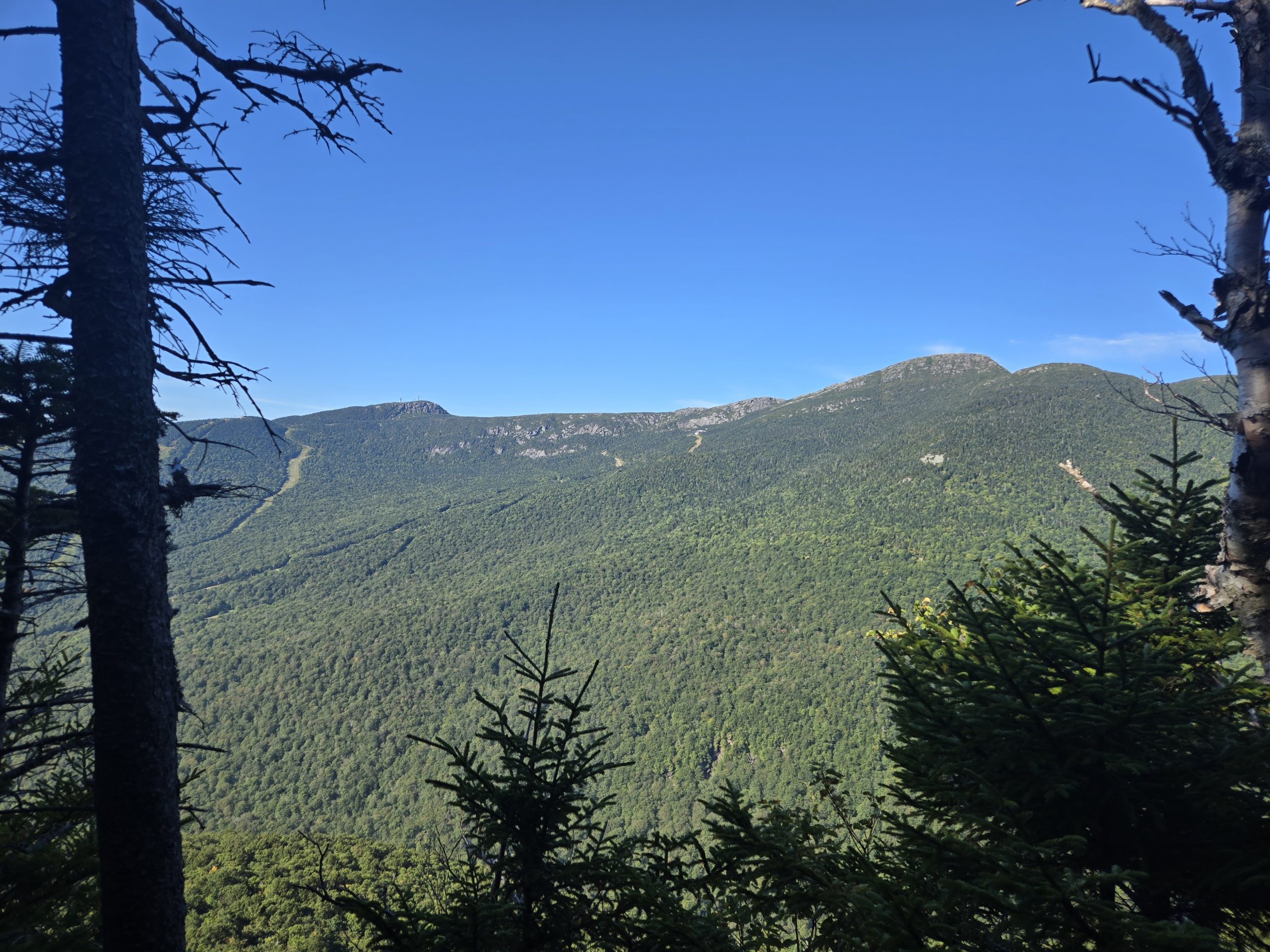 Highest Point in Vermont - Long Trail Day Nineteen - The Trek