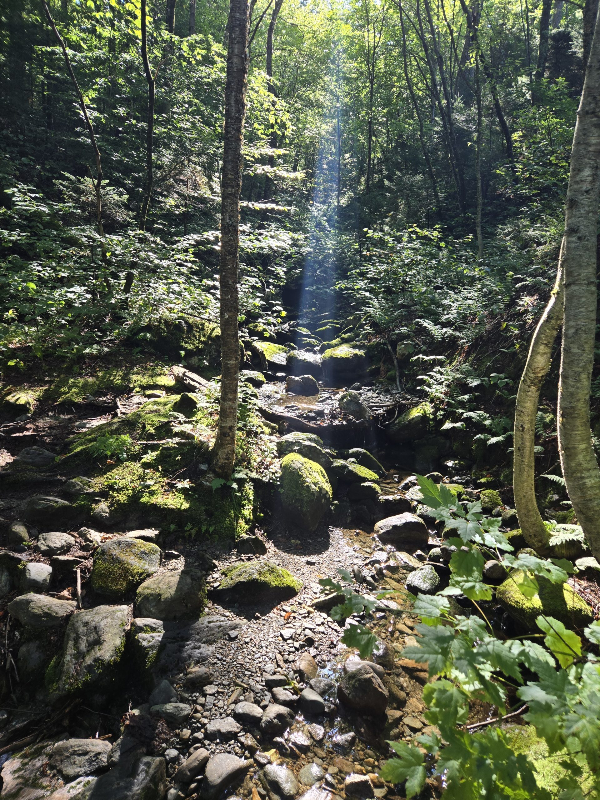 Highest Point in Vermont - Long Trail Day Nineteen - The Trek