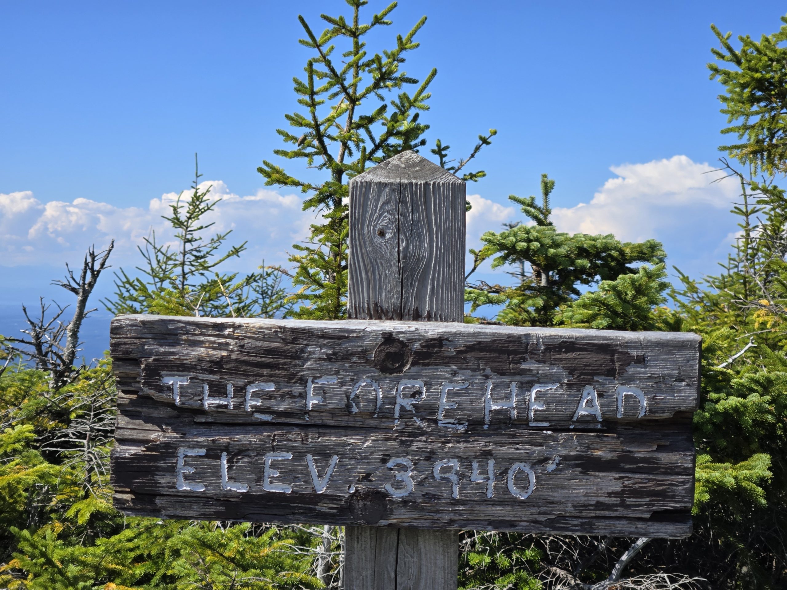 Highest Point in Vermont - Long Trail Day Nineteen - The Trek
