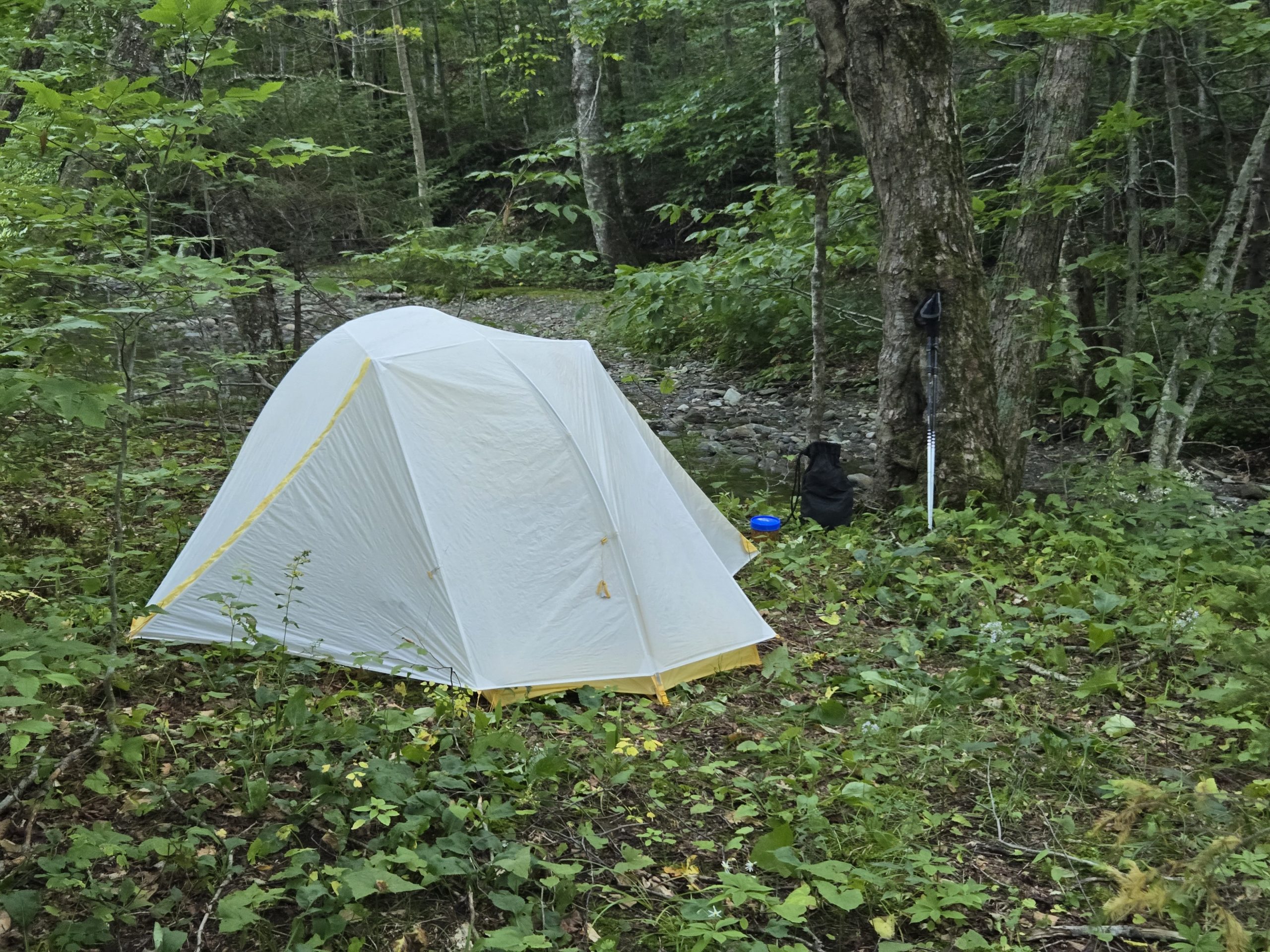 Highest Point in Vermont - Long Trail Day Nineteen - The Trek