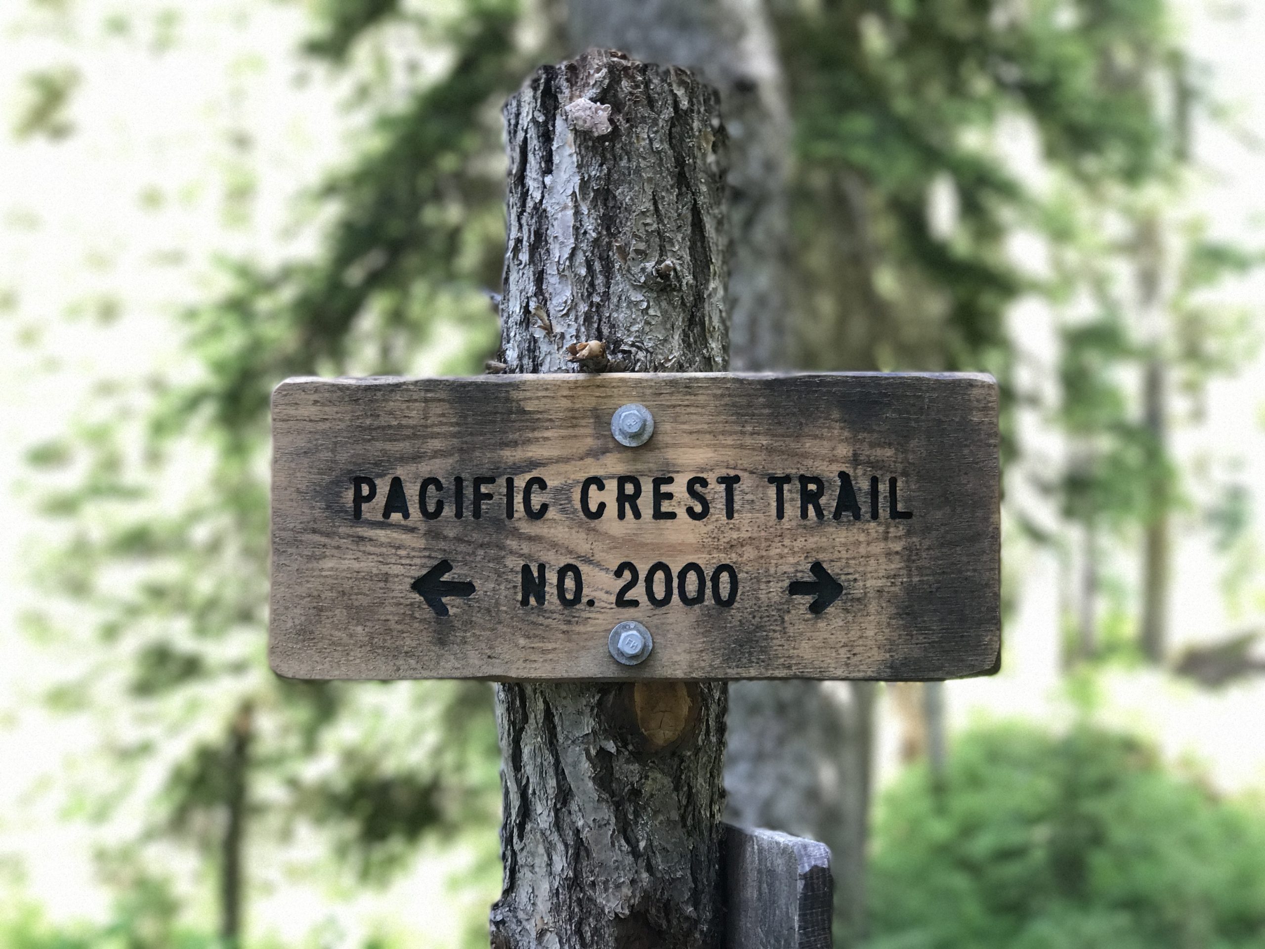 The PCT Is Not Just a Trail - The Trek