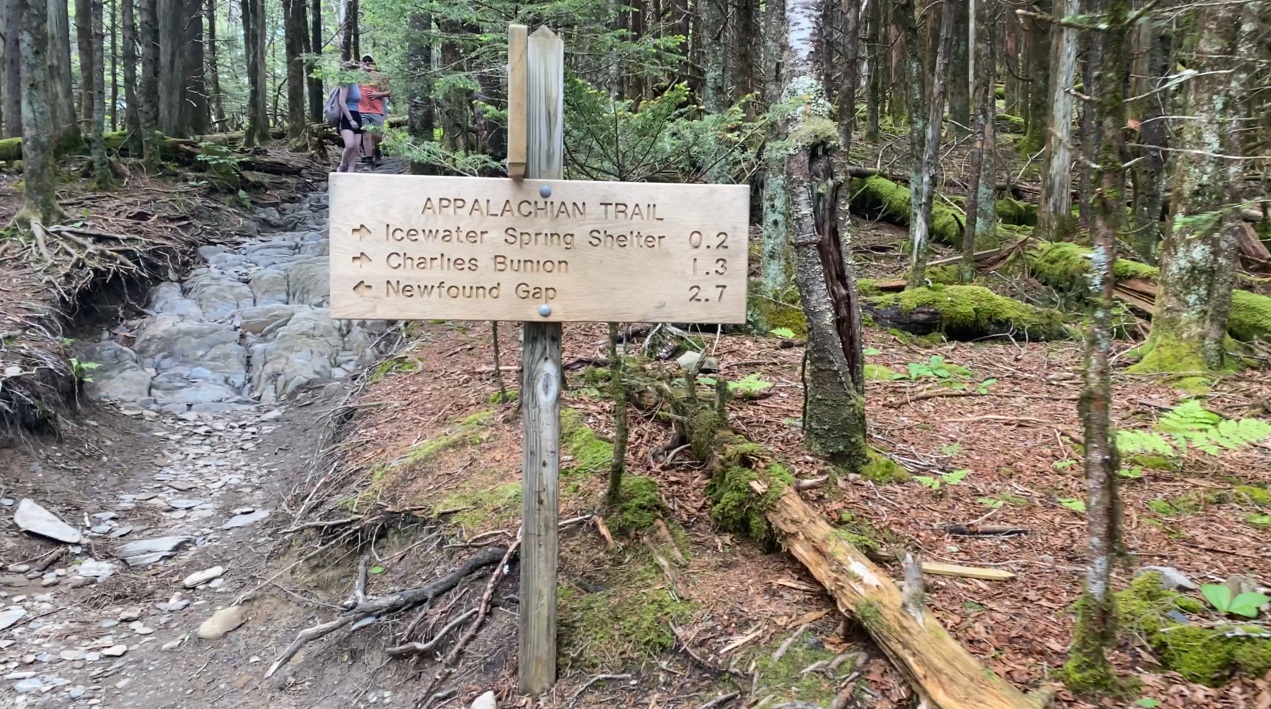 Prayer hiking? - The walk | Archivo Histórico RTA