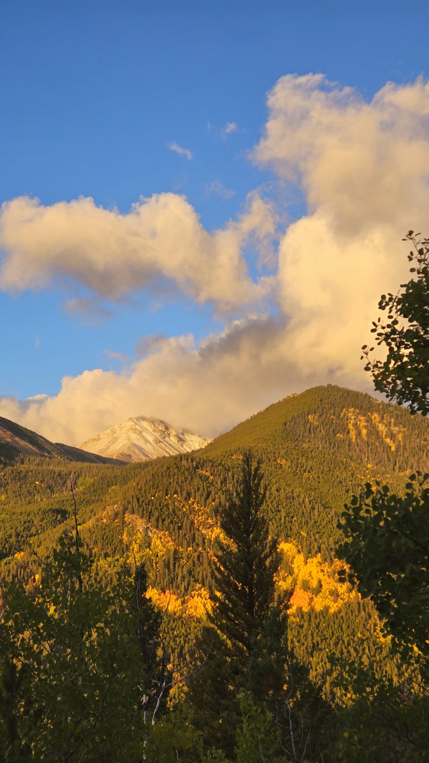 Peaking in Collegiate East: CDT Colorado - The Trek