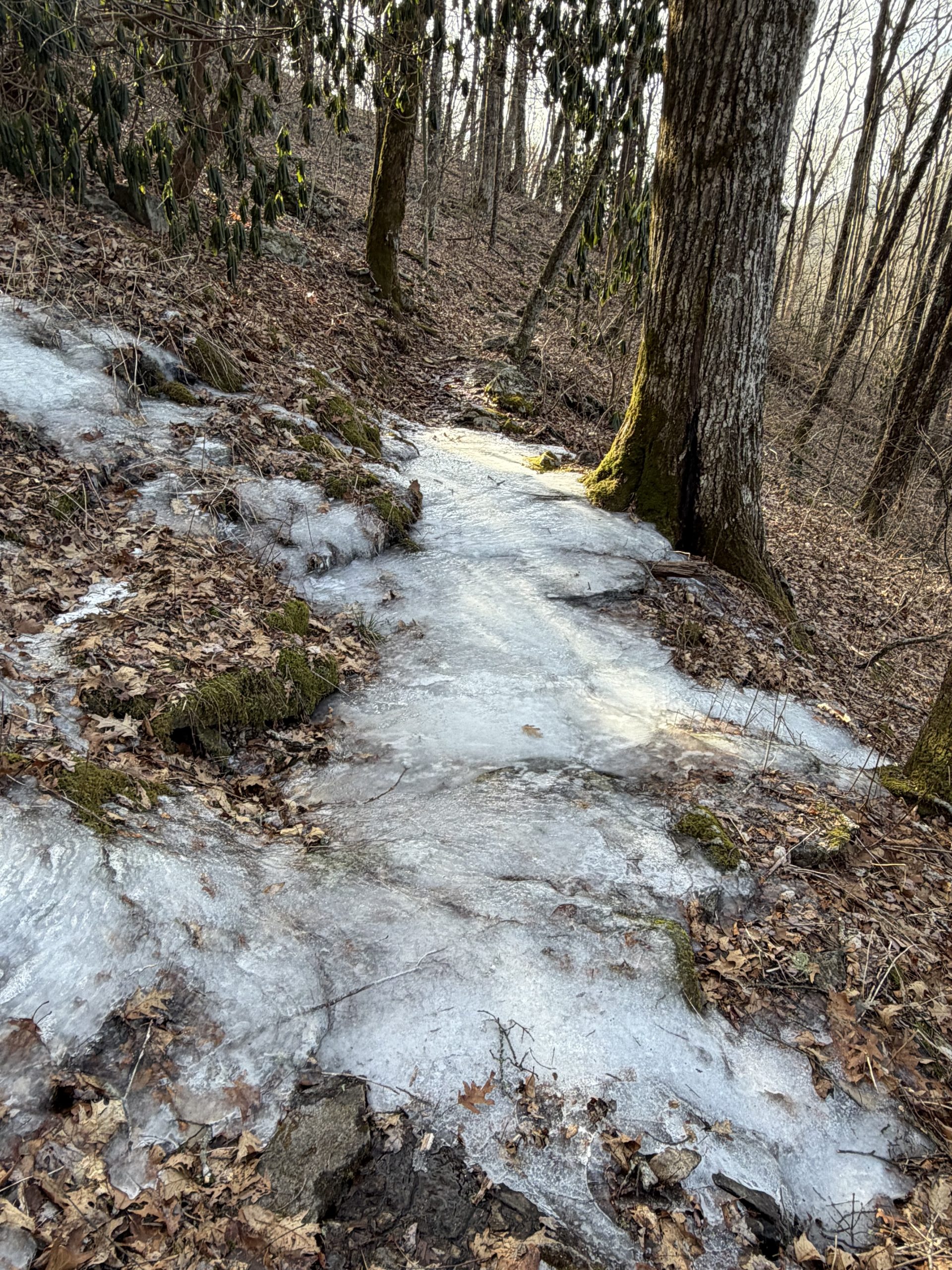 Iced Out at Neel Gap - The Trek