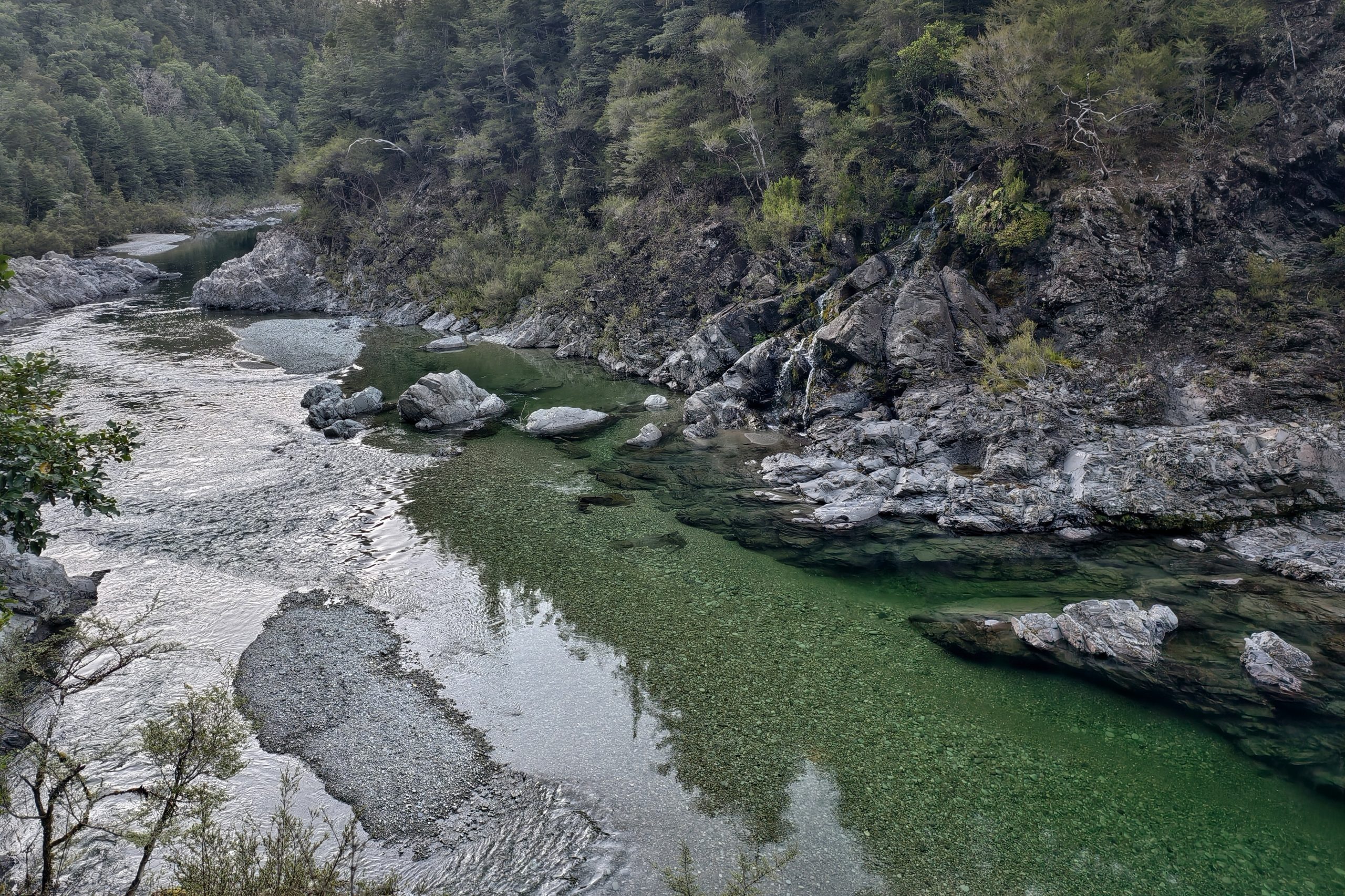 Captain Creek Hut to Red Rocks Hut AKA Te Araroa LASH Day 8 - The Trek