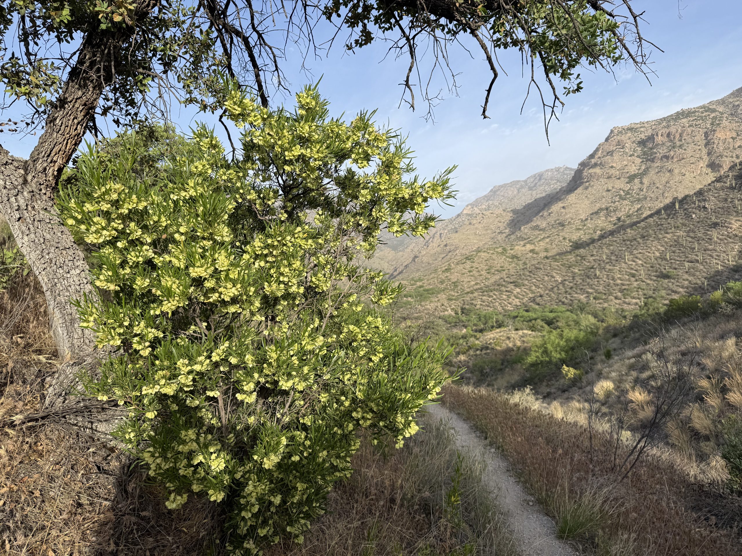 AZT: Vail to Summerhaven - The Trek