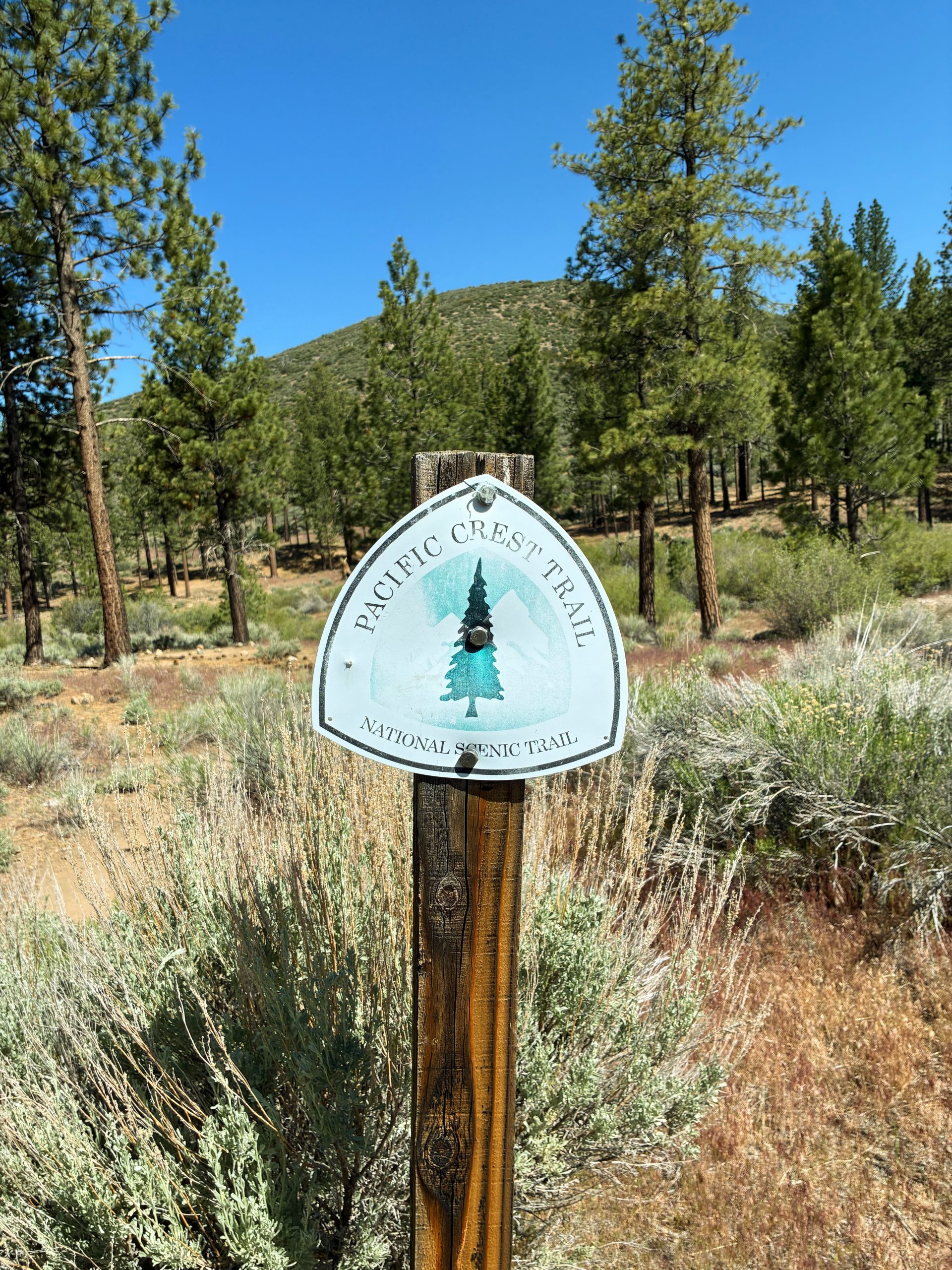 PCT SoCal Section Hike Days 7-9: Big Bear to Cajon Pass - The Trek