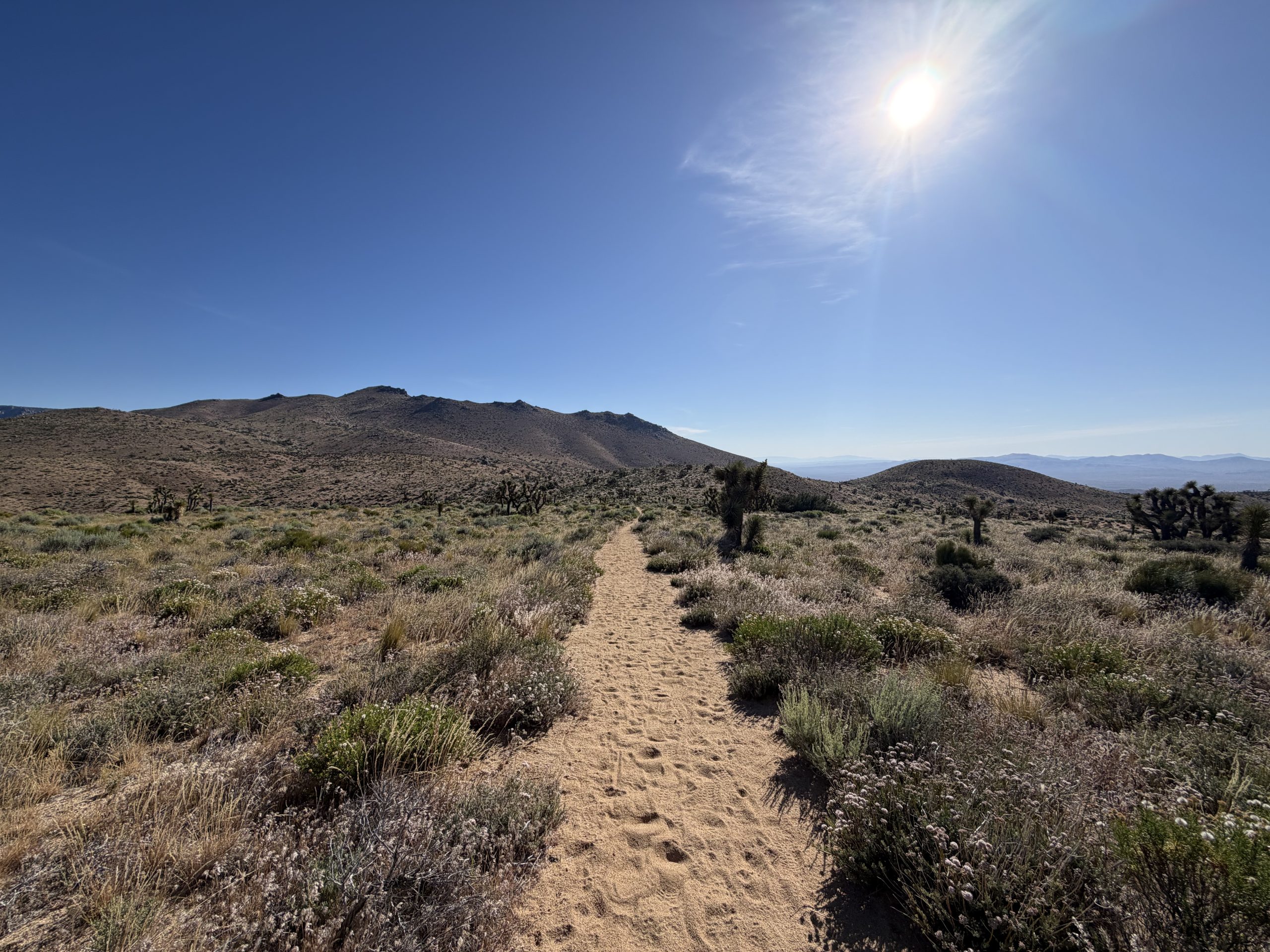 Thru-hiking the PCT: Leaving the Wilderness | Archivo Histórico RTA
